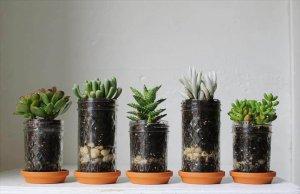 14 Do It Yourself Mason Jar Planters