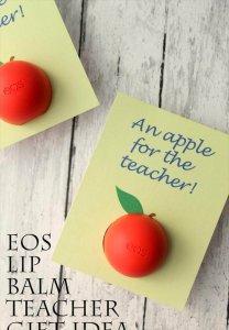 90 DIY EOS Crafts -Amazing EOS Cute DIY Projects