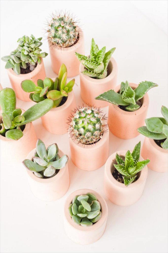 26 DIY Planter Ideas To Try Now