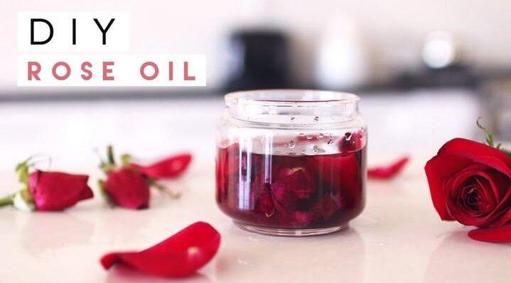 10 DIY Best Rose Oil & Benefit Of Rose Oil - DIY to Make