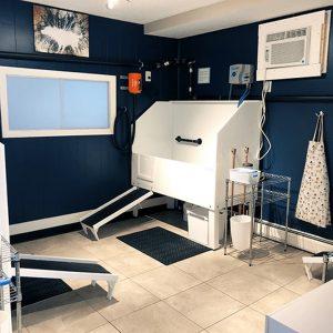 32 Best DIY Dog Washing Ideas That You Will Love - DIY to Make