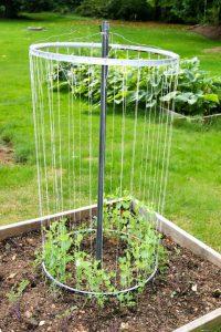 15 Upcycling Ideas For Old Bike Wheel - DIY to Make